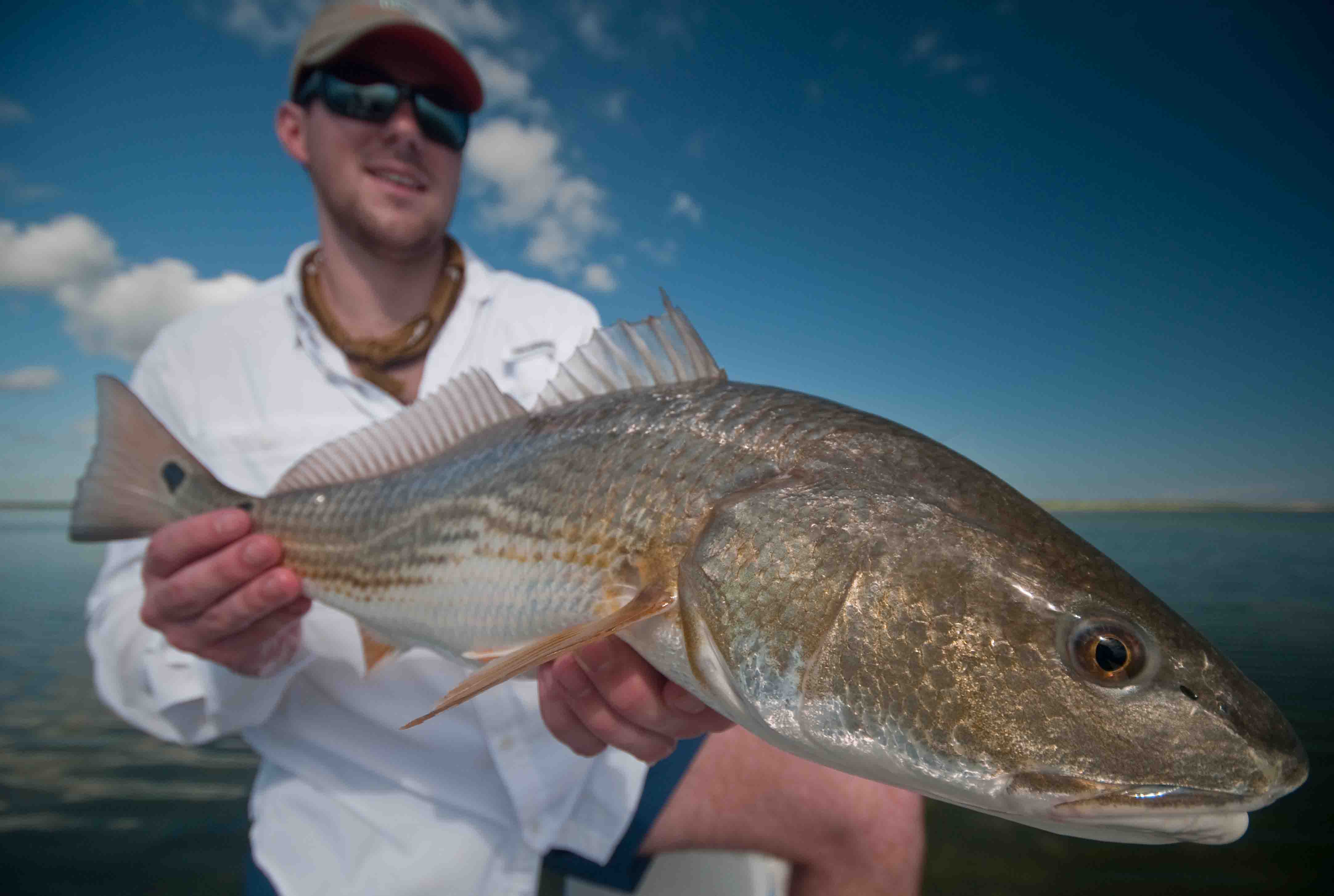 Guided fly fishing booking info with Capt. Ben Paschal